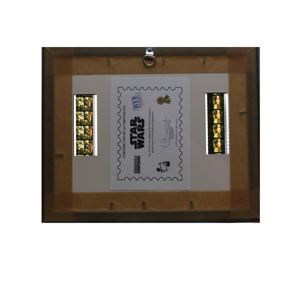 Star Wars Return of the Jedi Filmcell Signed by Warwick Davis – The ...